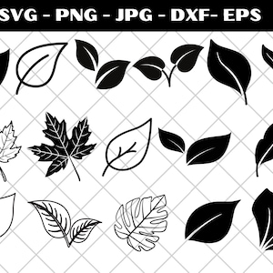 Leaf SVG Bundle, Leaves Svg Bundle, Leaf Clipart, Leaf Svg Cut Files ...