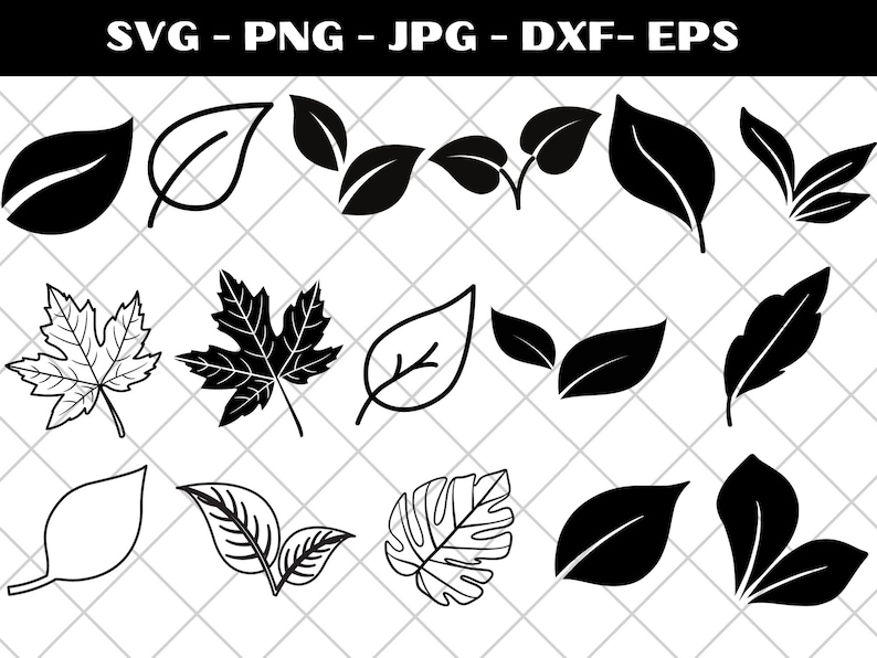 Leaf SVG Bundle, Leaves Svg Bundle, Leaf Clipart, Leaf Svg Cut Files ...