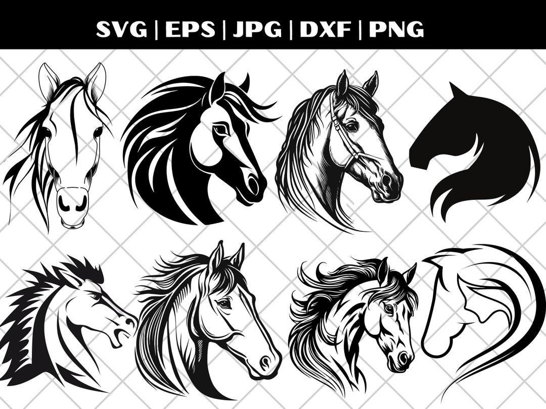Horse Svg Horse Png Horses Svg Horse Shirt Svg Horseshoe - Etsy