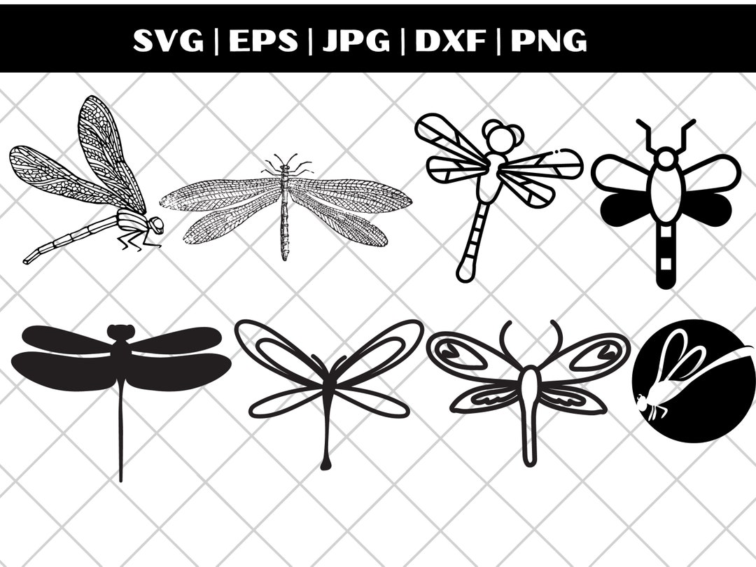 Libelle SVG Bundle, Insekt svg, Libelle Vektor, Libellen, Flügel ...