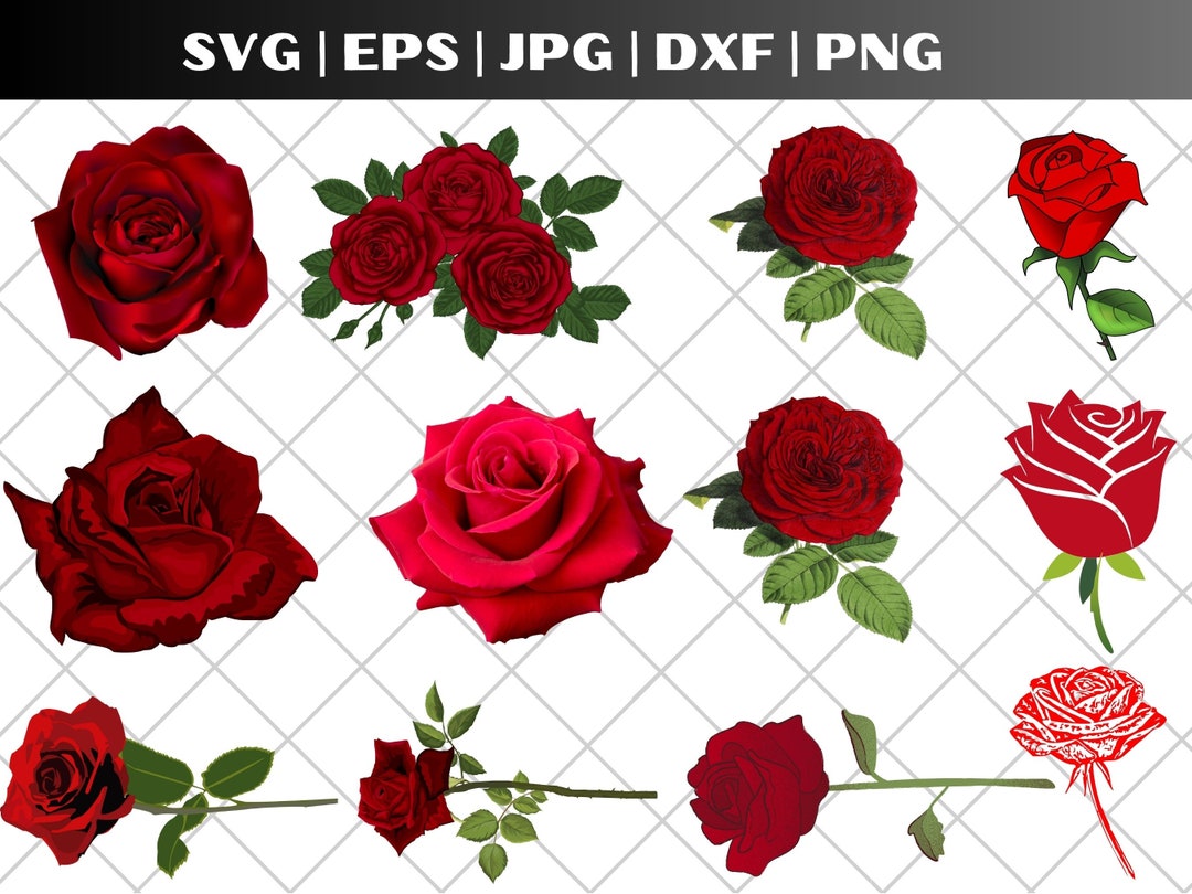 Rose SVG Bundle, Rose SVG, Flower Svg, Monogram Svg, Half Rose Svg, Cut ...