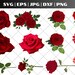 Rose SVG Bundle, Rose SVG, Flower Svg, Monogram Svg, Half Rose Svg, Cut ...