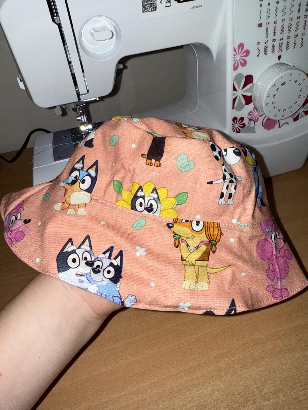 Bluey and Friends Bucket Hat - Etsy