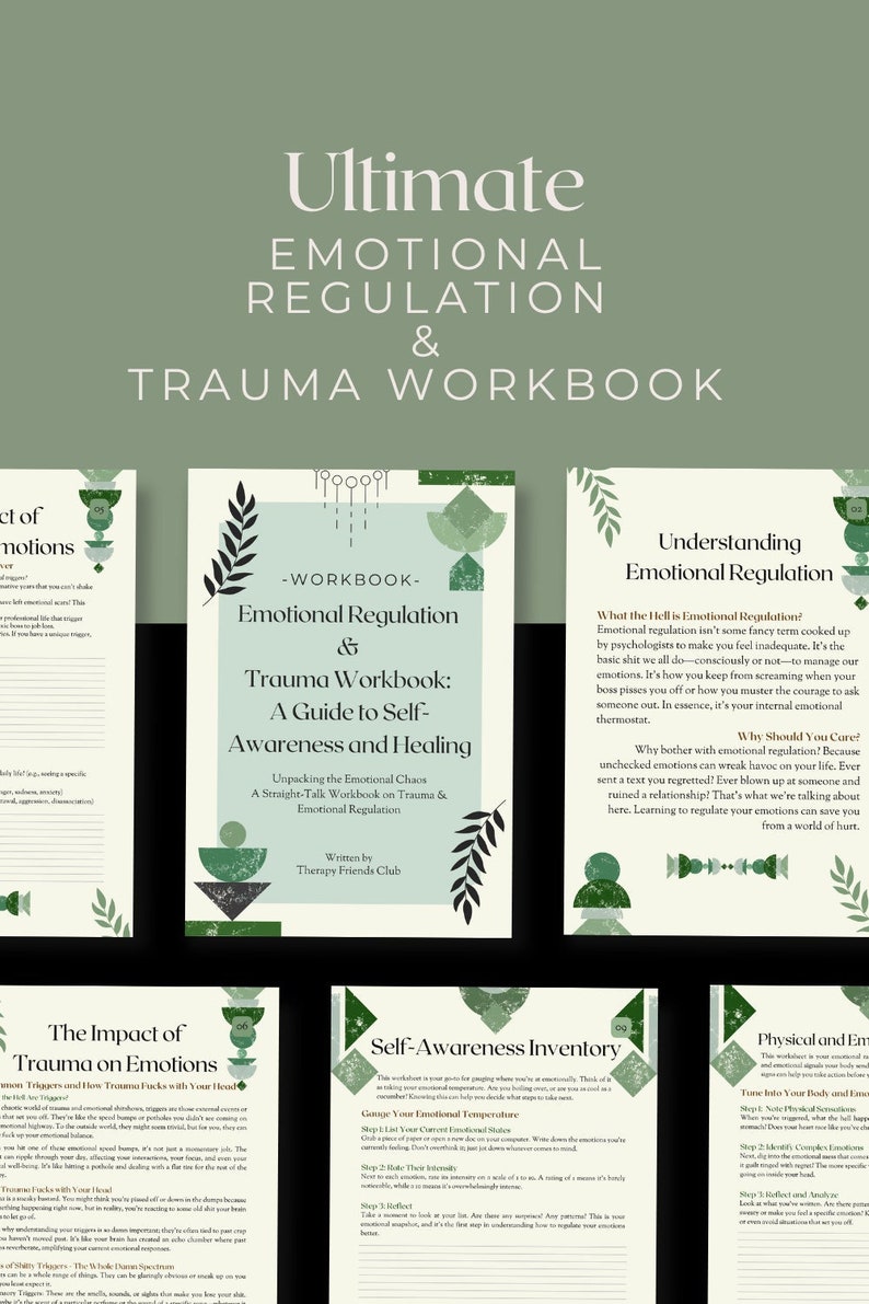 Mastering Emotional Regulation: A Trauma-informed Workbook for Self ...