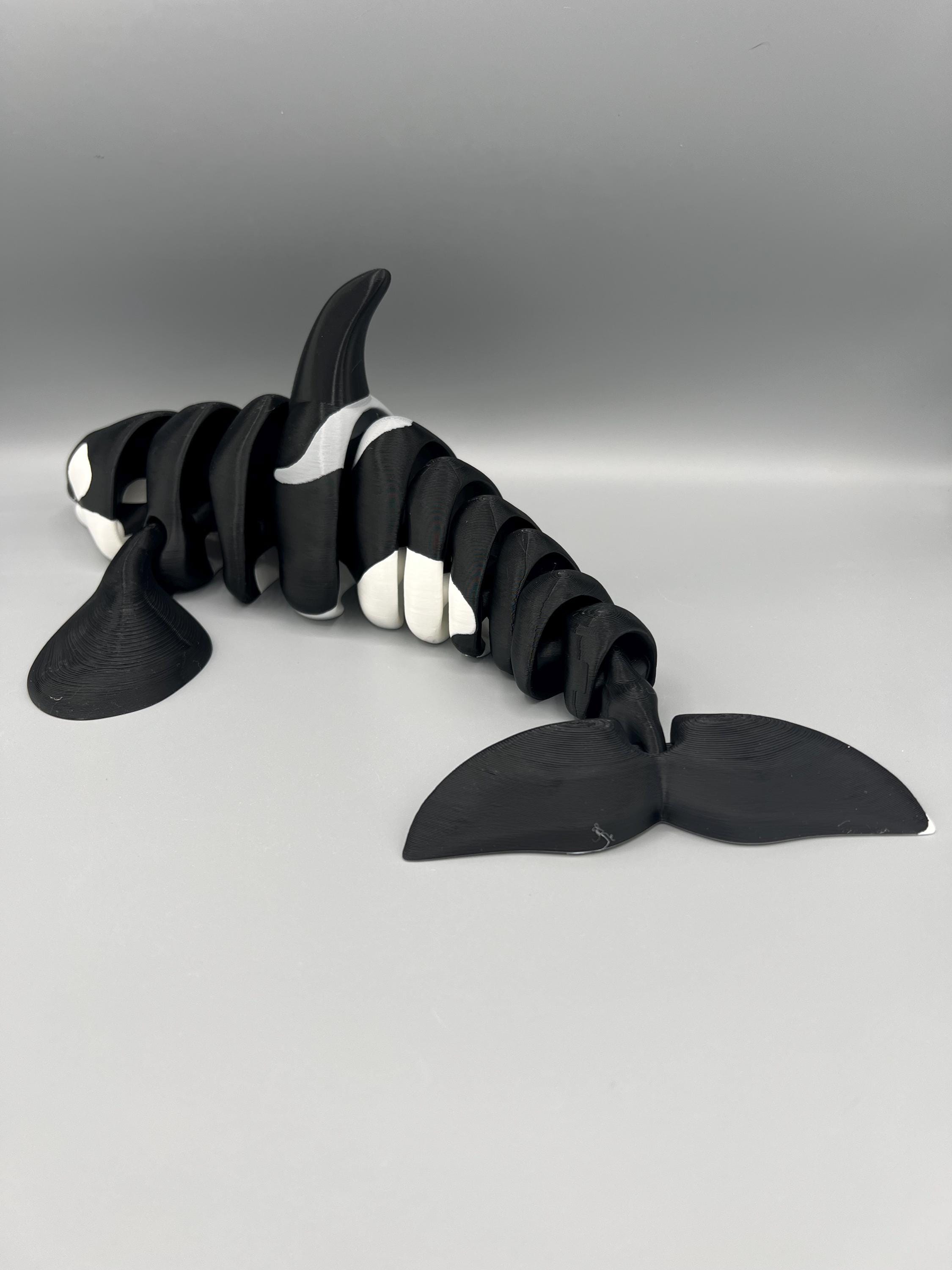 3D Printed Flexi Orca Whale: Articulated Fidget Toy, Custom Colors - Etsy