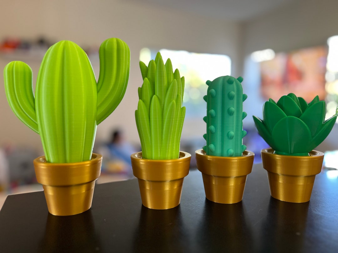 Cute Cactus Home Decor - Kawaii Cactus Home Decor - Cactus Decor ...