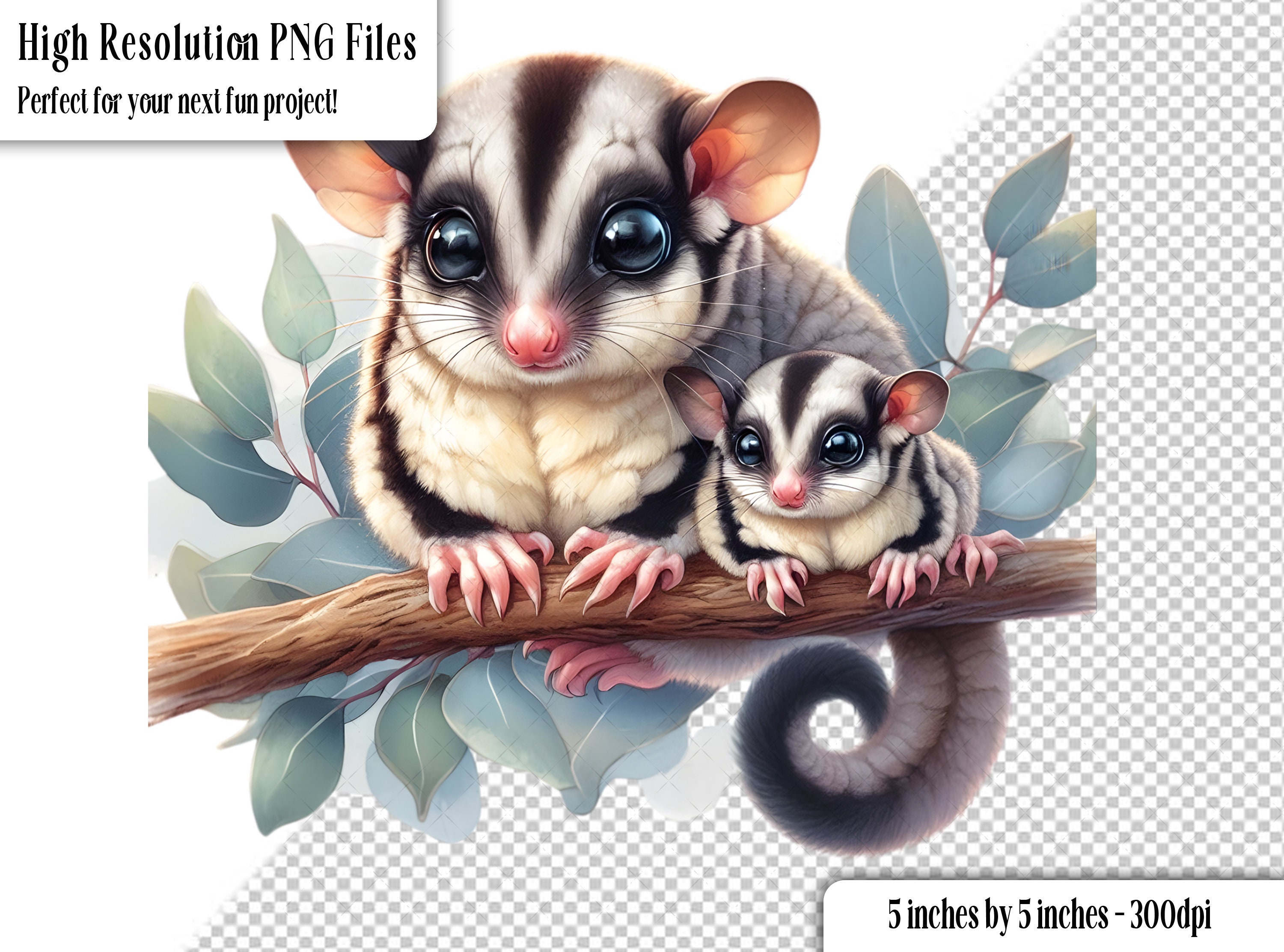 Cute Sugar Glider PNG Clip Art Bundle, Digital Download, Sugar Glider ...
