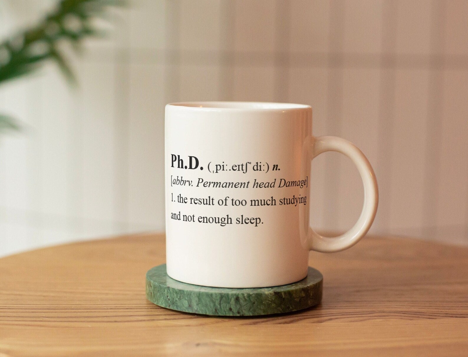 Phd (permanent Head Damage) Definition Mug - Phd Definition Mug - Funny ...