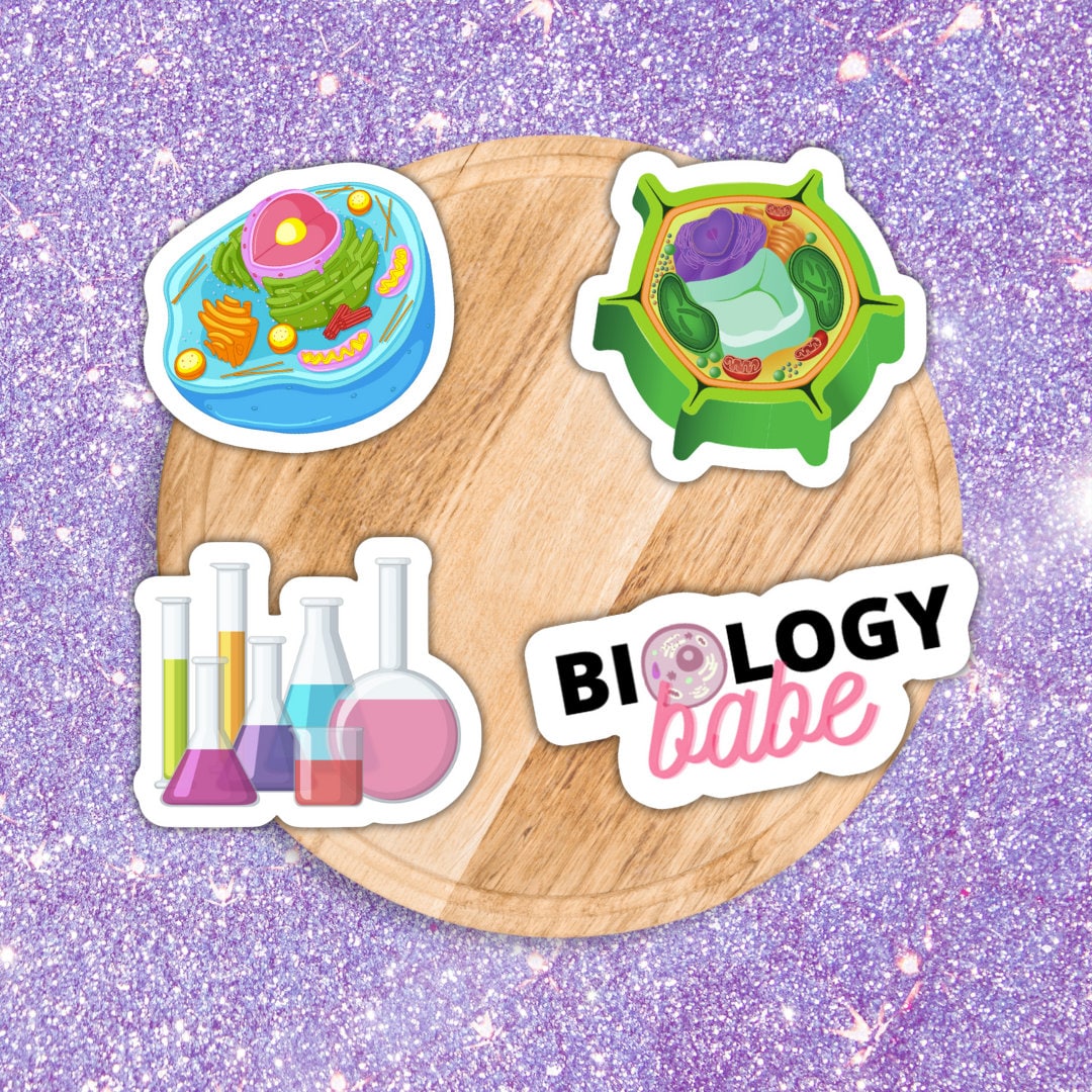 4 PCS Biology Stickers, Biology Babe Sticker, Biology Nerd Sticker ...