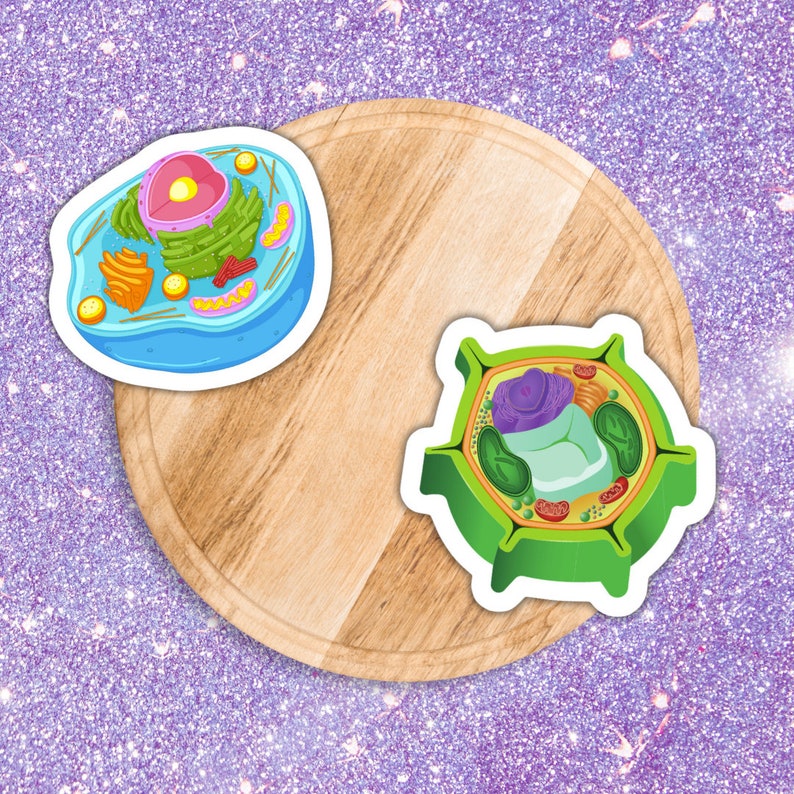 4 PCS Biology Stickers, Biology Babe Sticker, Biology Nerd Sticker ...