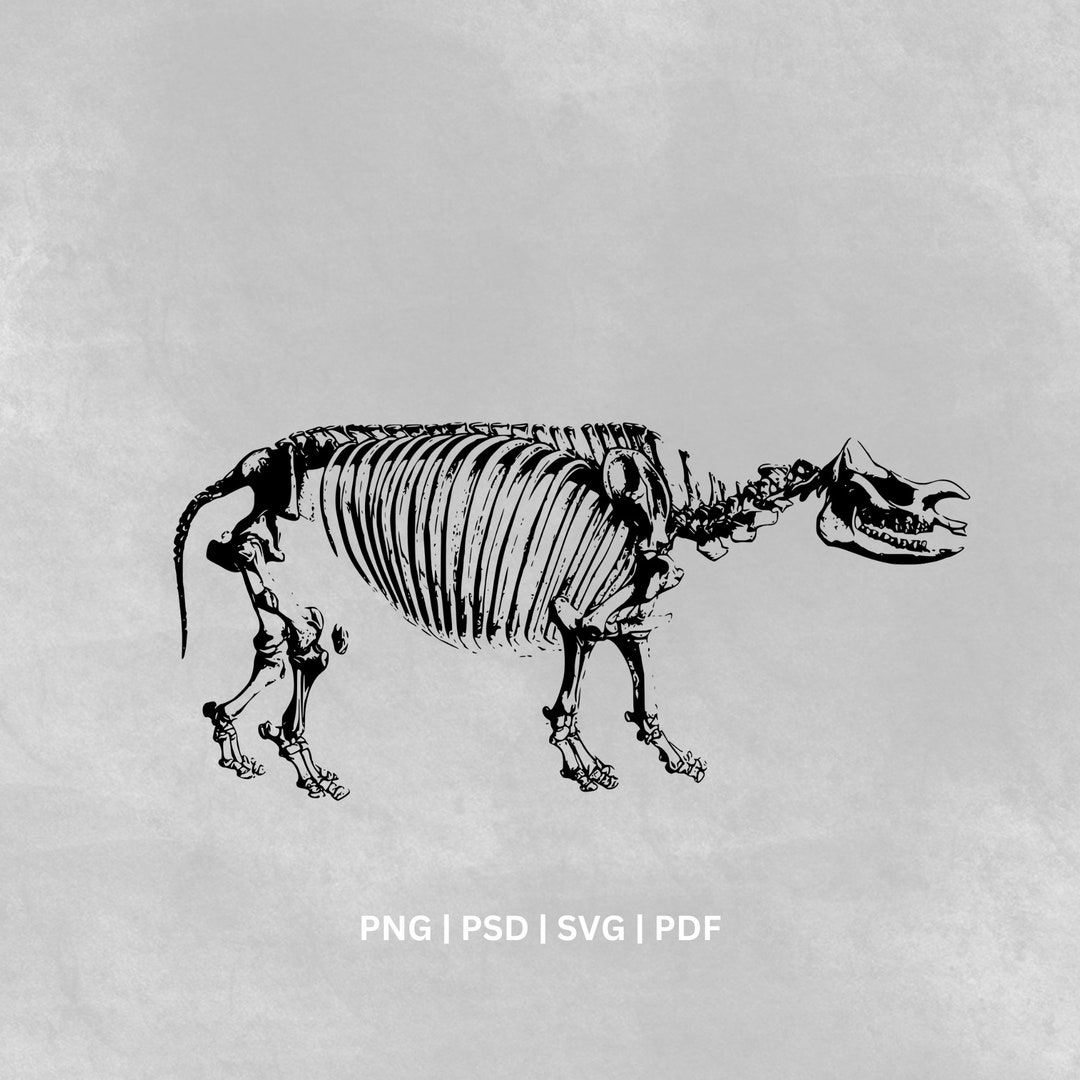 Digital Cow Skeleton Illustration Printable Art for Wildlife - Etsy