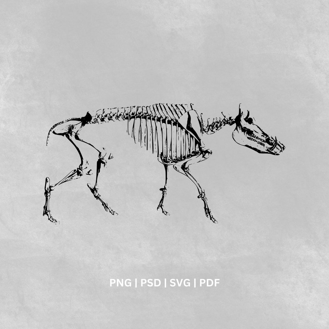 Digital Boar Skeleton Illustration Printable Art for - Etsy