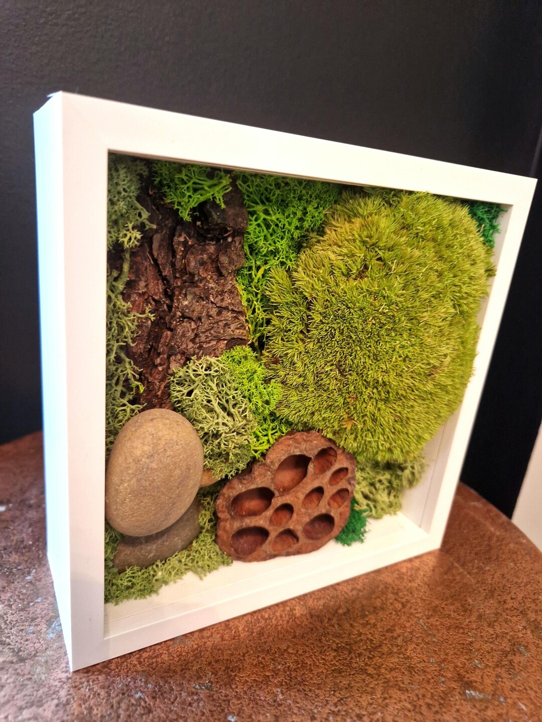 Quirky Handmade Preserved Moss Art Picture - Etsy