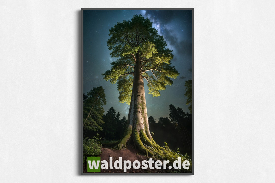 Beech Tree Starry Night Sky Printable Wall Art. Mystical Forest Tree ...