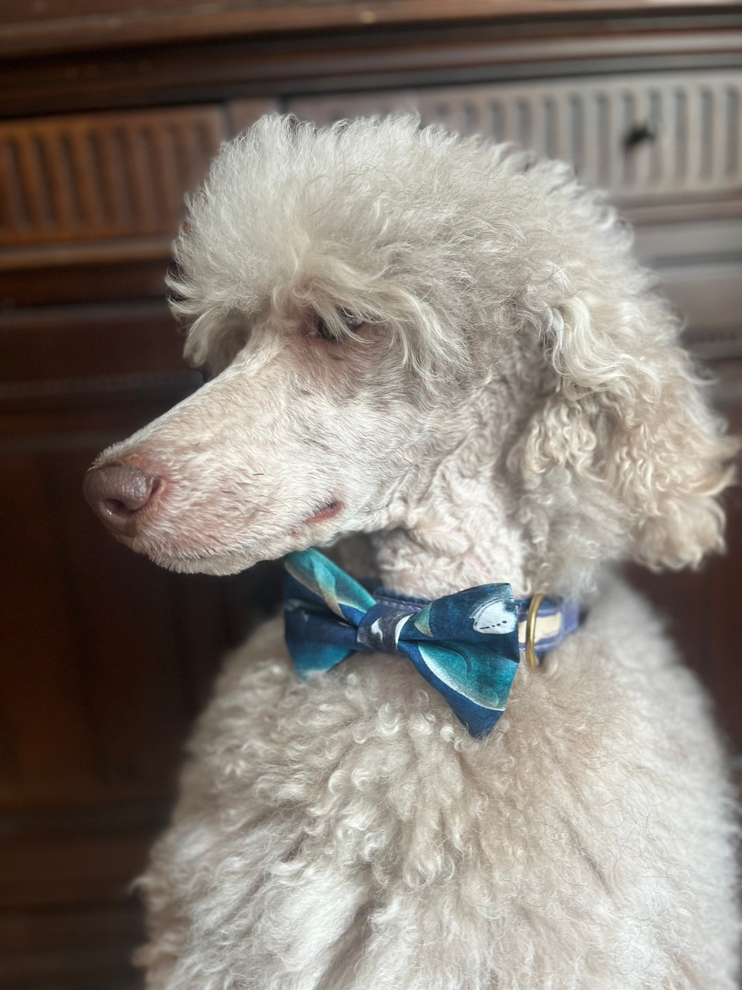 Deep Sea Whale Dog Bow Tie - Etsy