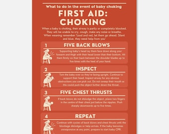 Baby First Aid CPR Poster: Floral Nursery Decor, Safety Guide - Etsy