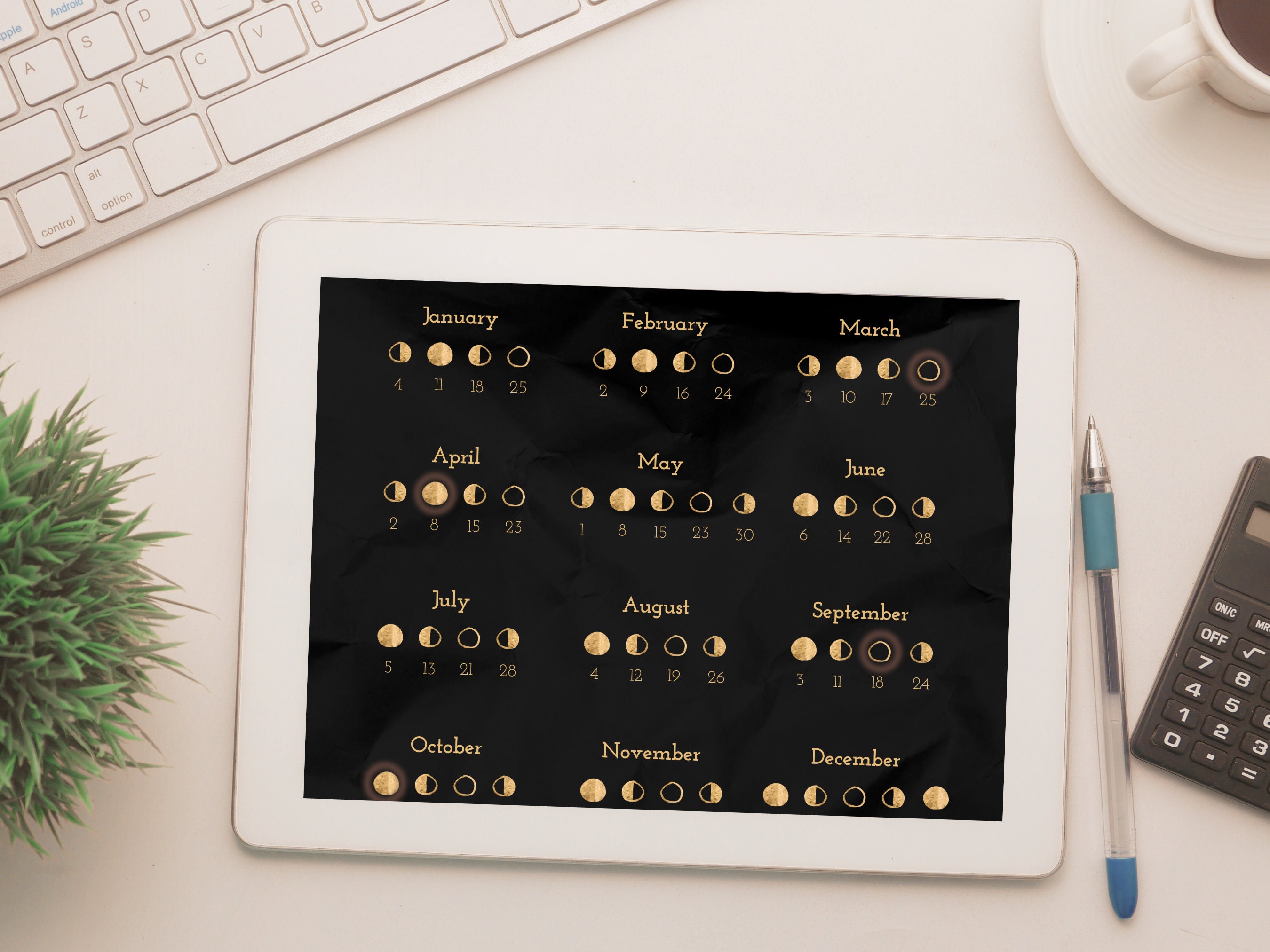 Moon Phases Calendar 2024 Minimalist Lunar Calendar Design Celestial ...