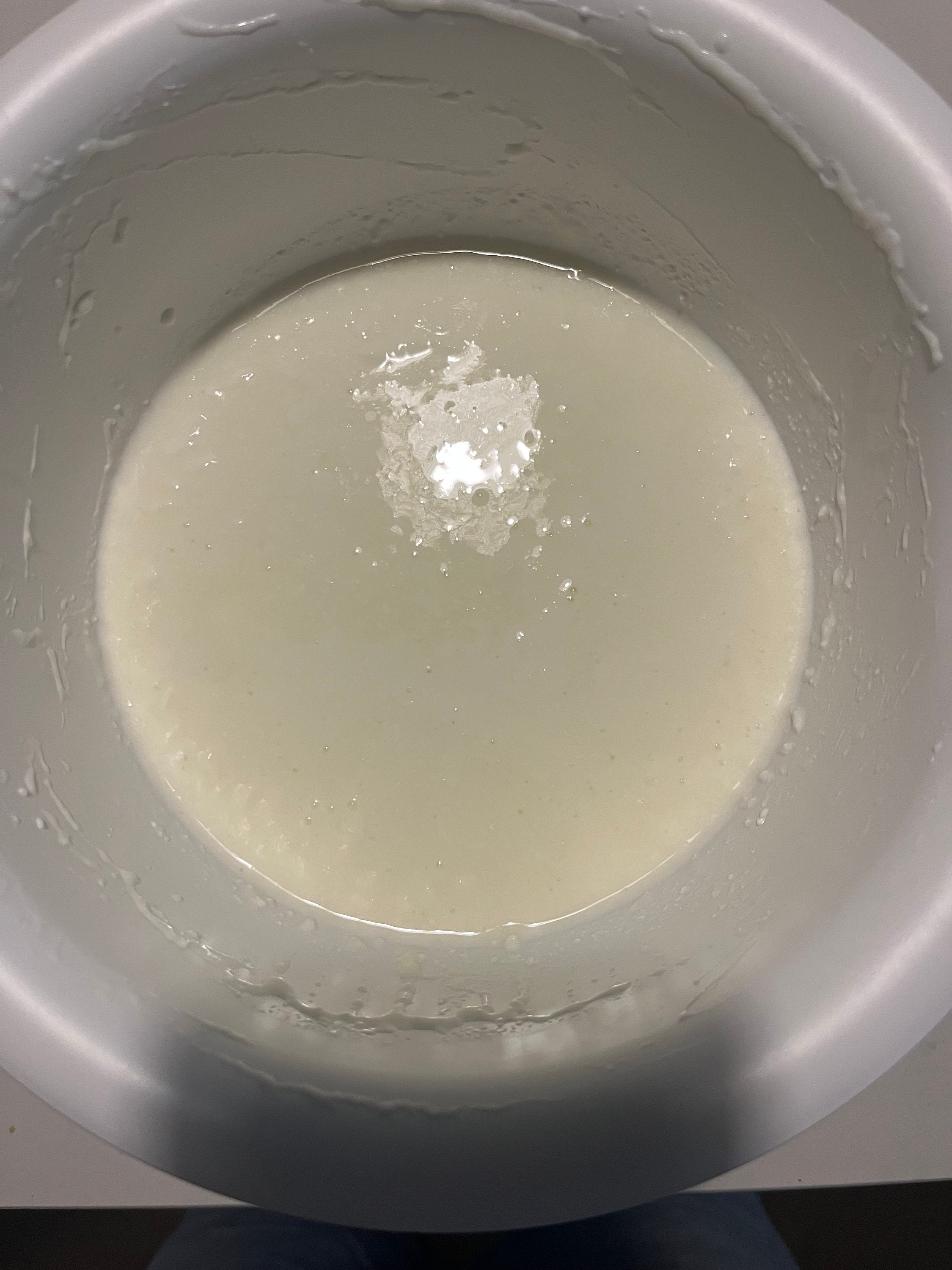 Organic Live Milk Kefir Grains 1 Tbsp 15g Free Shipping Fermented Milk ...