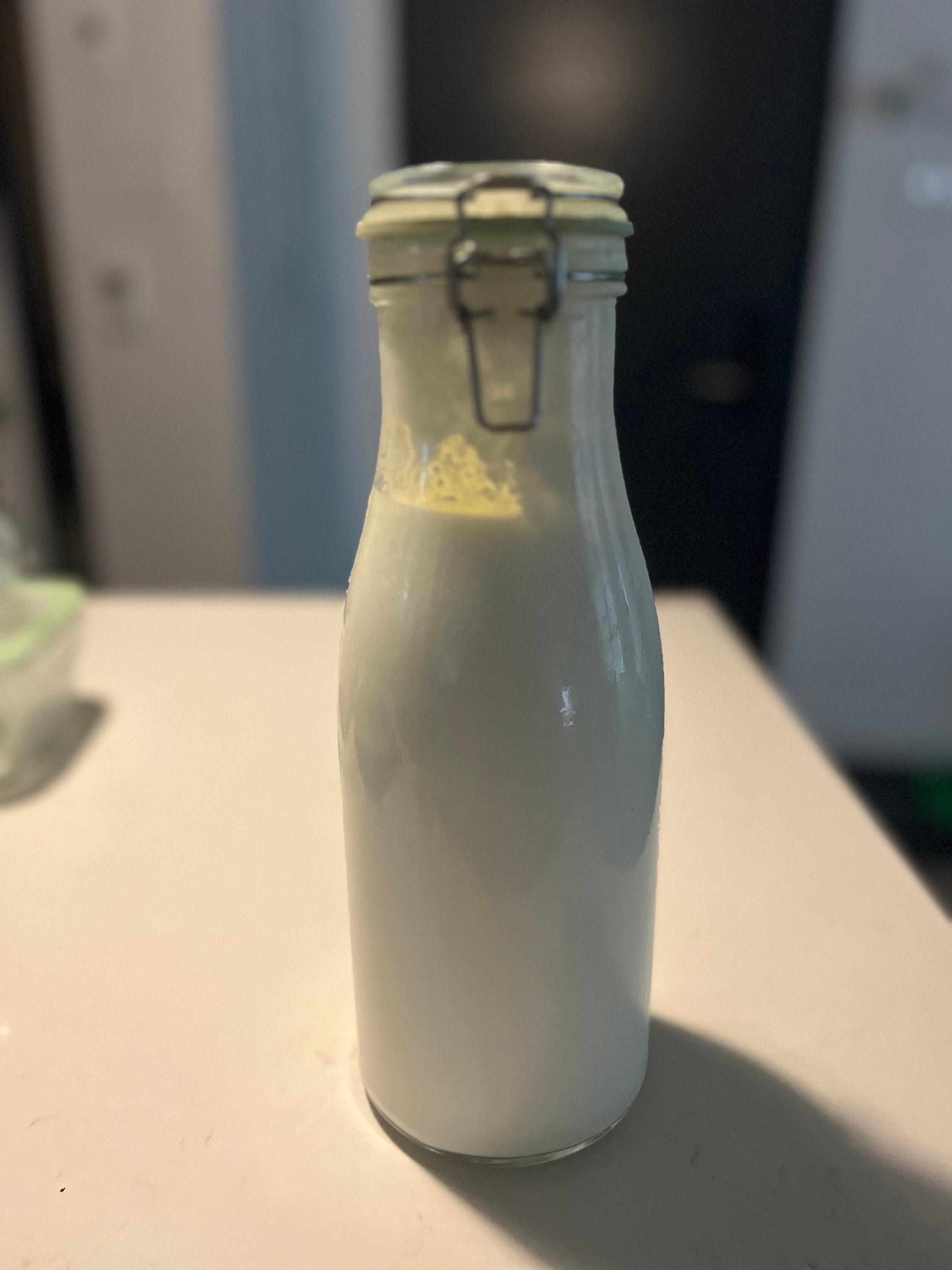 Organic Live Milk Kefir Grains 1 Tbsp 15g Free Shipping Fermented Milk ...