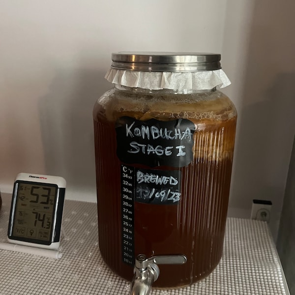 Kombucha - Etsy