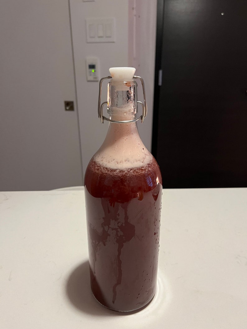 Organic Kombucha Tea SCOBY With Starter Fluid Grown With Organic Sugar ...