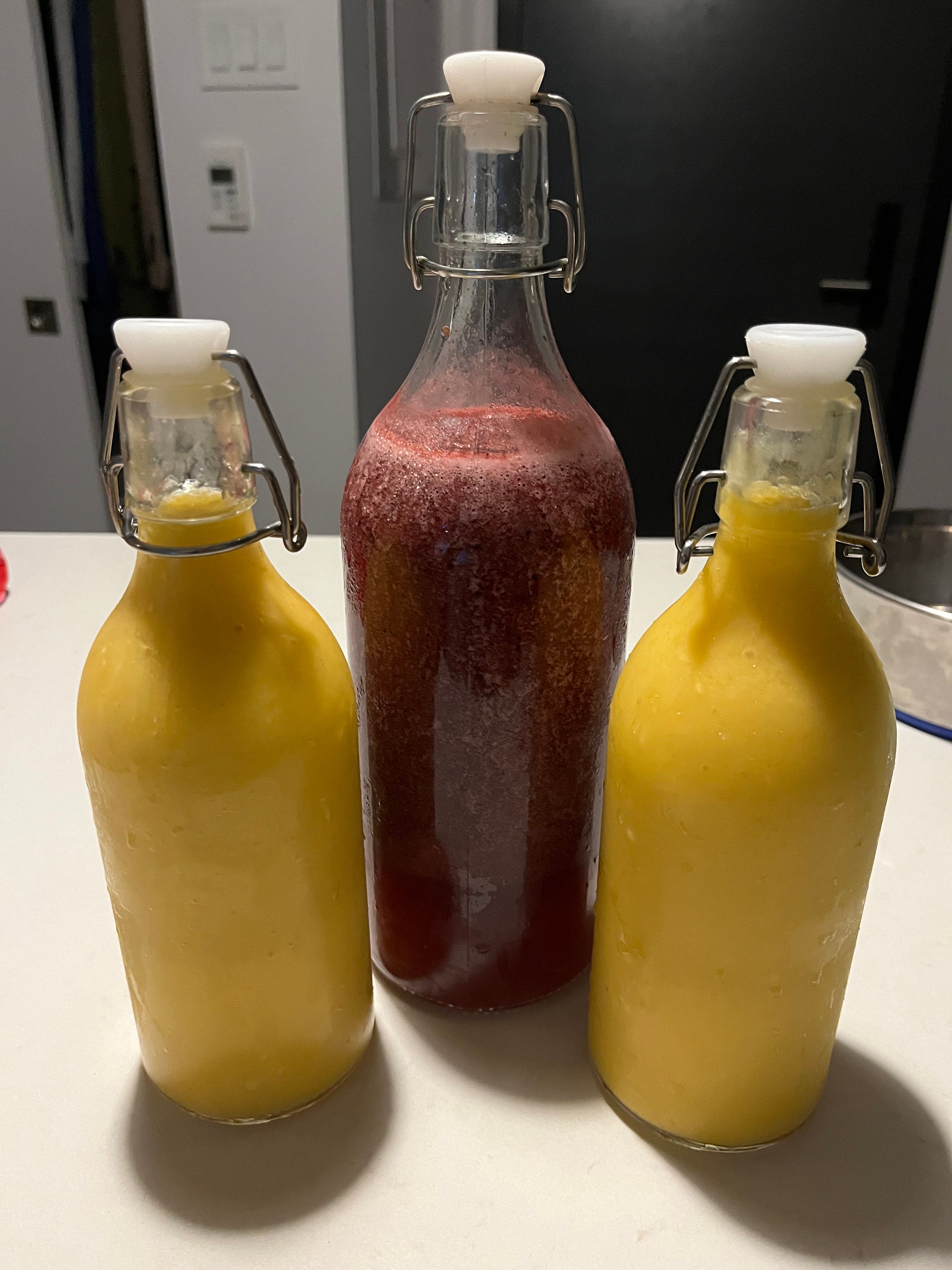 Organic Kombucha Tea SCOBY With Starter Fluid Grown With Organic Sugar ...