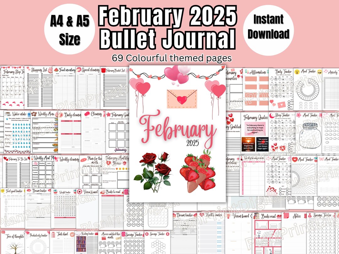 February 2025 Bullet Journal | 2025 Colorful Themed Bullet Journal ...