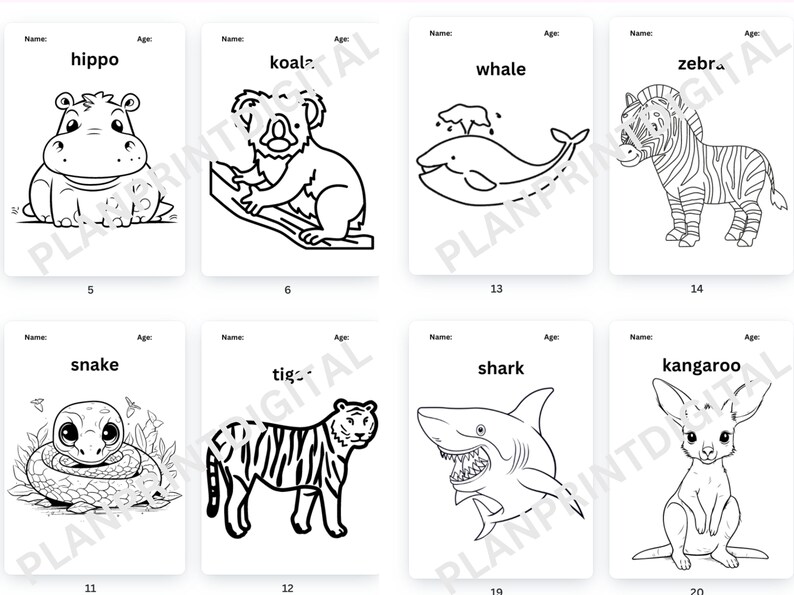 Animals Coloring in Pages for Kids | Preschool Worksheet | Printable ...