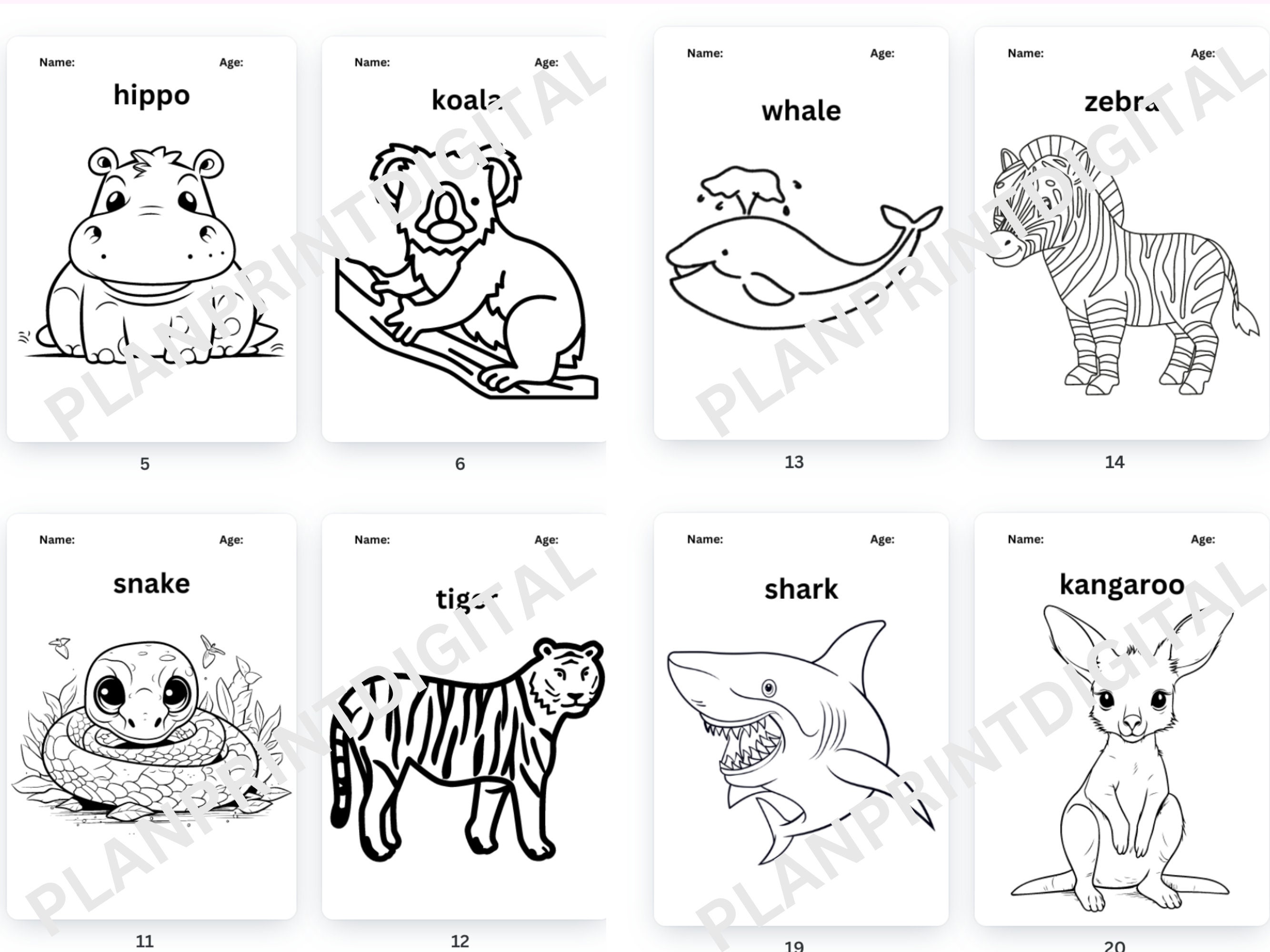 Animals Coloring in Pages for Kids | Preschool Worksheet | Printable ...
