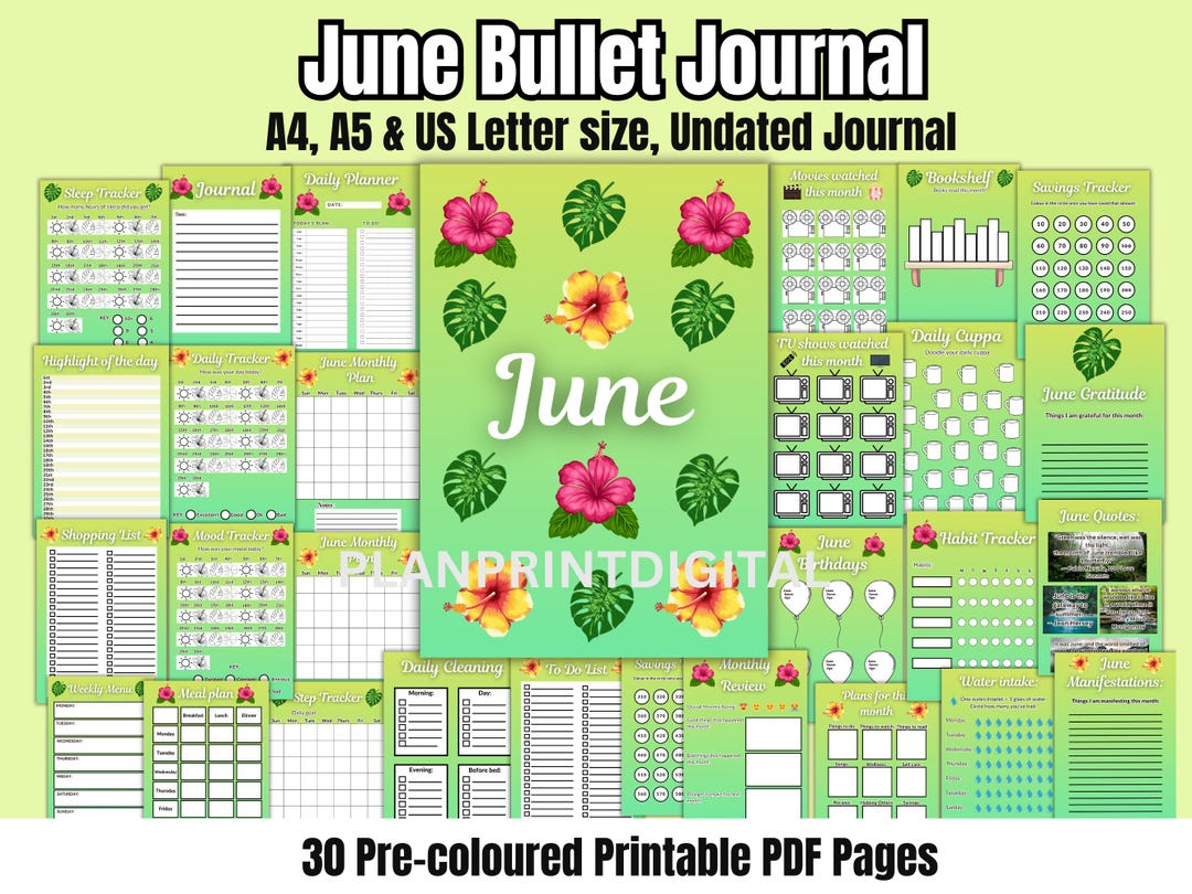 June Bullet Journal Bundle | Tropical | Colourful June Bullet Journal ...