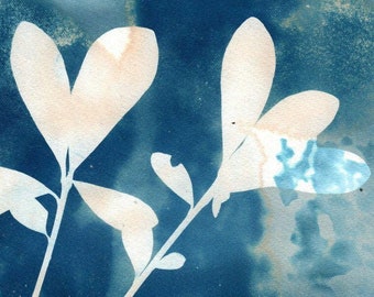 Unique, Original Cyanotype Photography Fine Art Print. Old Photographic ...