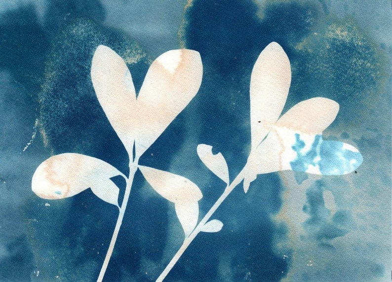 Unique, Original Cyanotype Photography Fine Art Print. Old Photographic ...