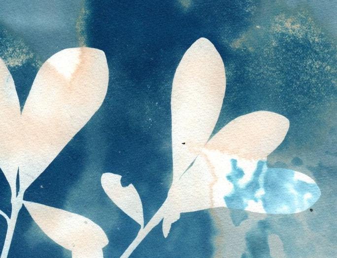 Unique, Original Cyanotype Photography Fine Art Print. Old Photographic ...