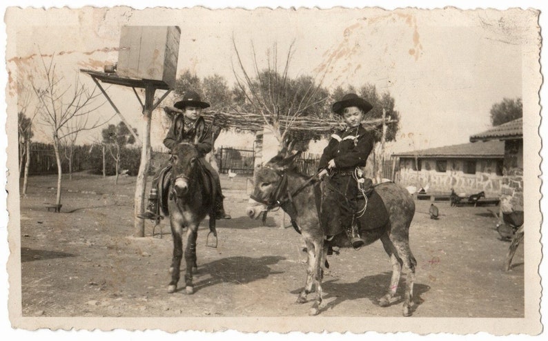 Two Boys in Cowboy Costumes on Two Donkeys in A Natural Farm Envirement ...