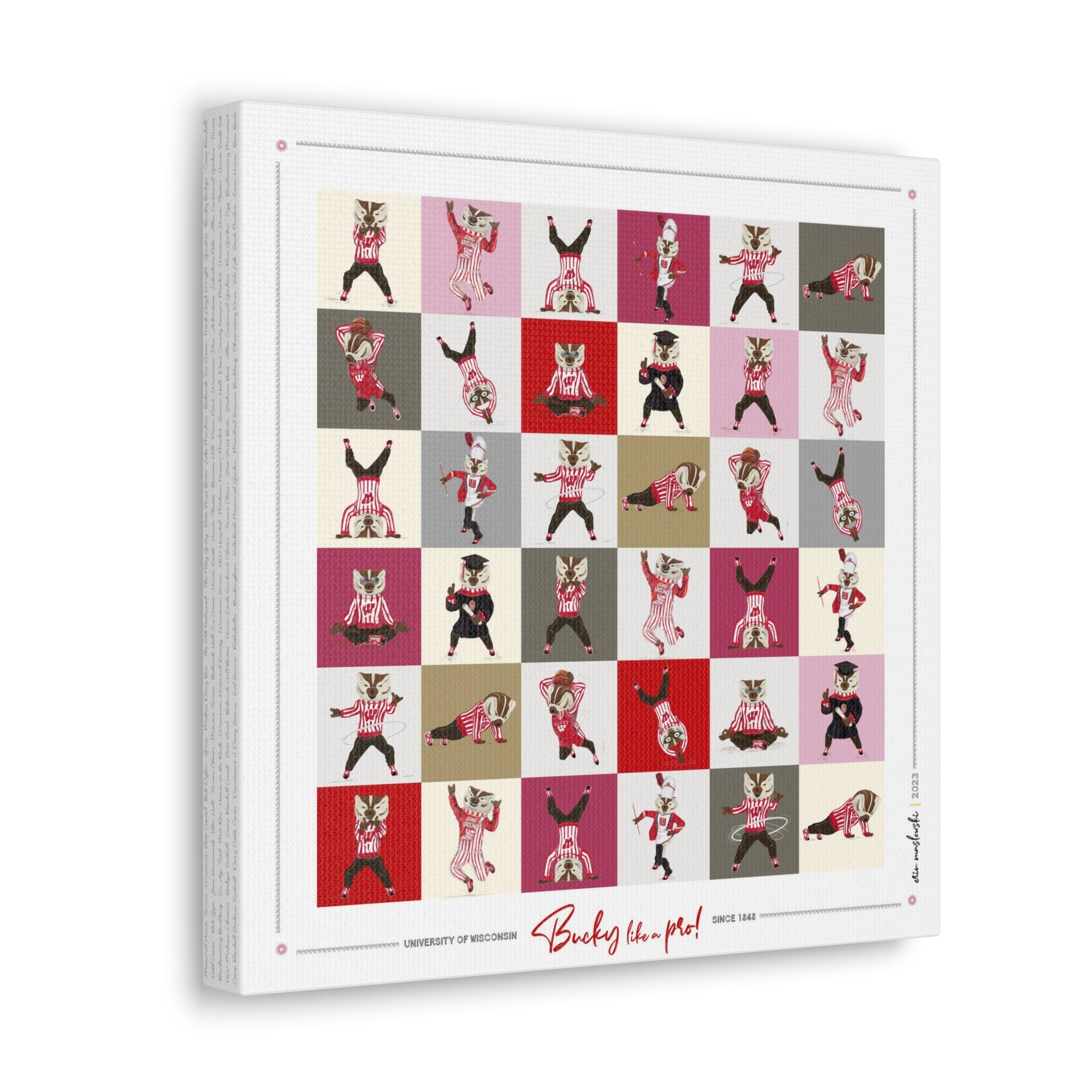 Bucky Like a Pro Pop Art Pattern Wisconsin Art UW Gift University of ...