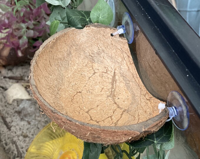 Glass Mount Coconut Moss Pit - Etsy