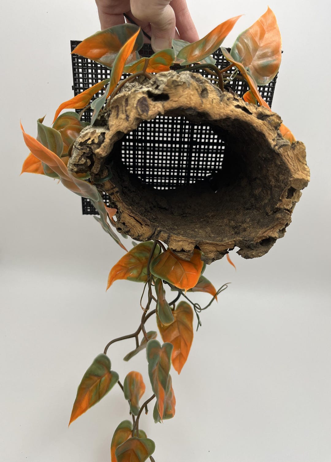 Cork Bark Cave Small - Etsy