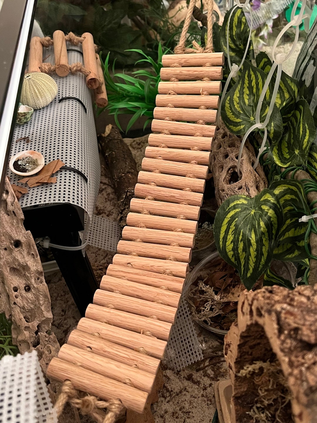 Hanging Hermit Crab/reptile Walking Bridge/ladder - Etsy