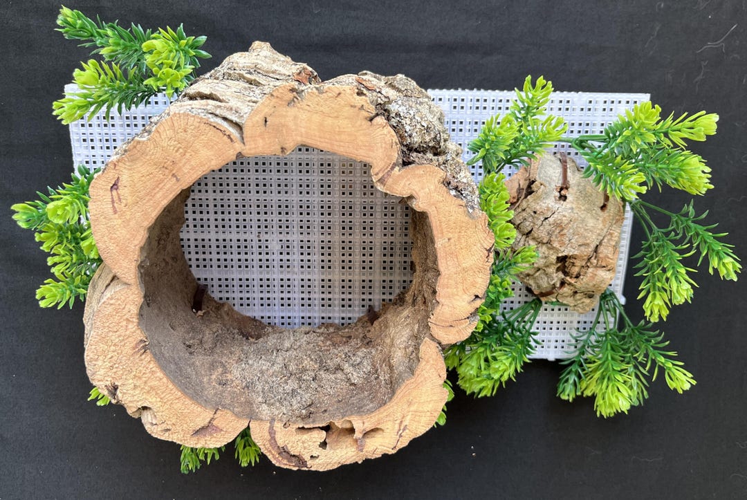 Cork Bark Circle Round - Etsy
