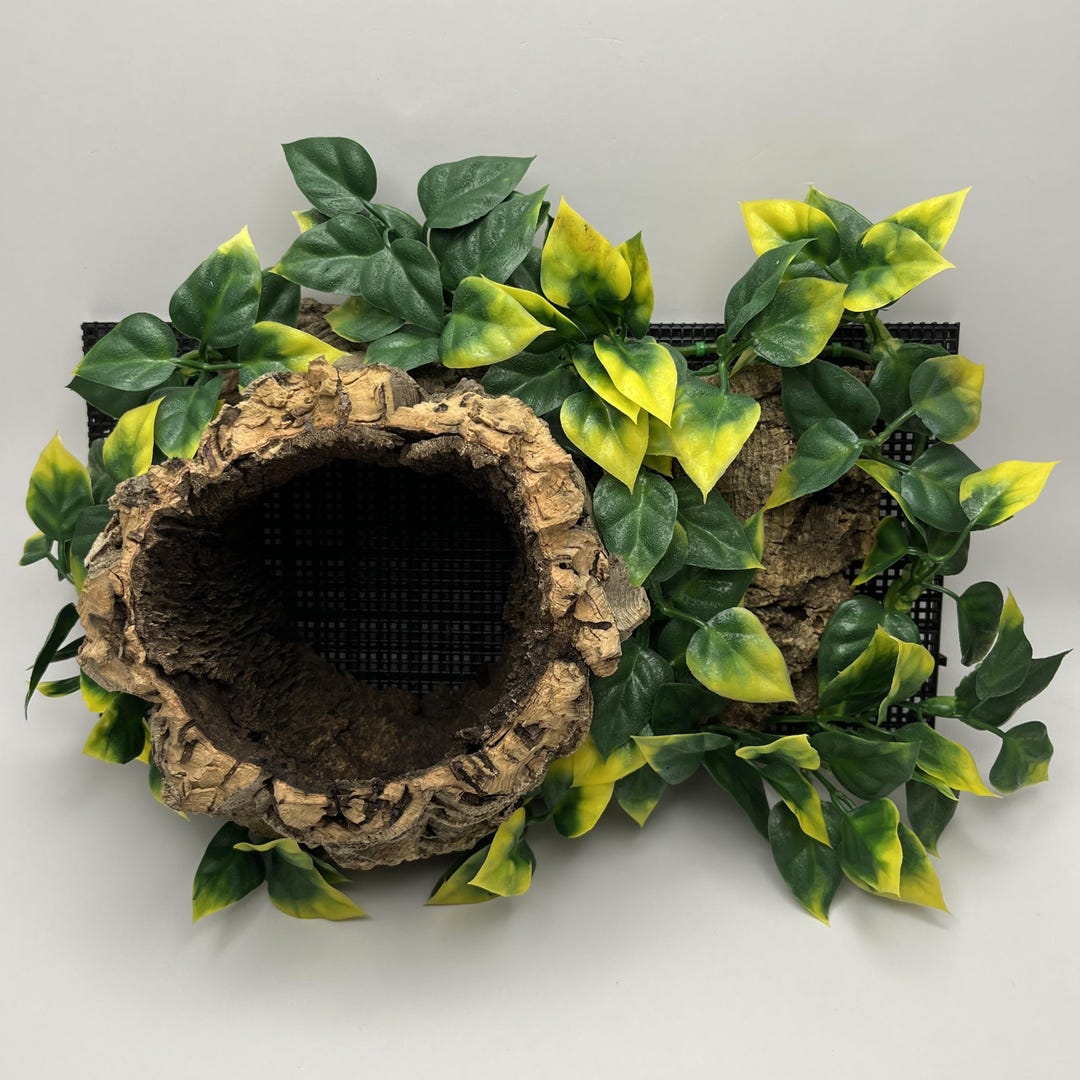 Natural Cork Bark Cave - Etsy