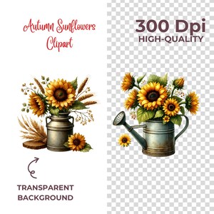 Watercolor Autumn Sunflowers Clipart: 36 PNG Fall Flower Graphics ...