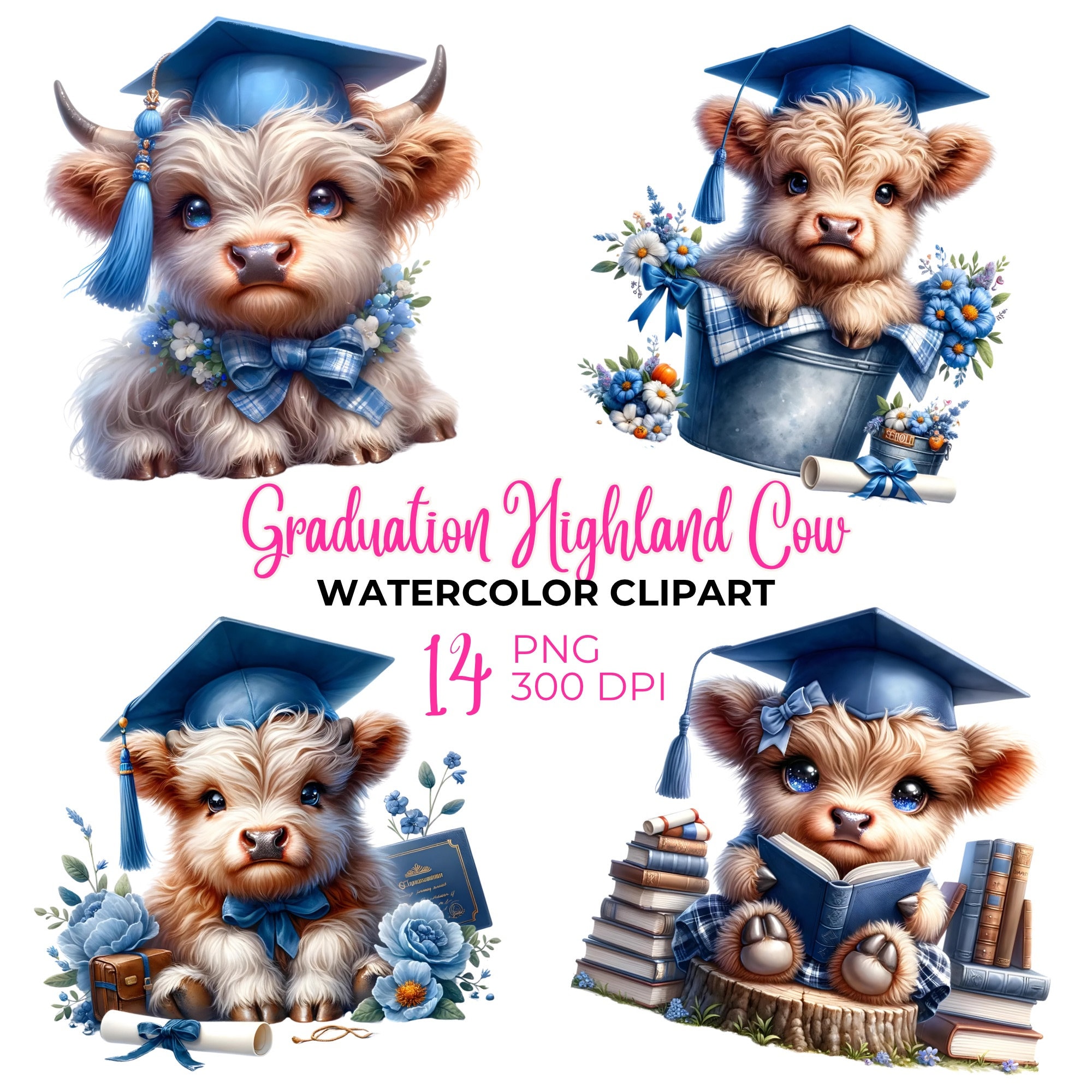 Watercolor Graduation Highland Cow Clipart, Highland Cow PNG, Preschool ...