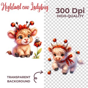 Watercolor Ladybug Highland Cow Clipart, Summer Highland Cow PNG ...