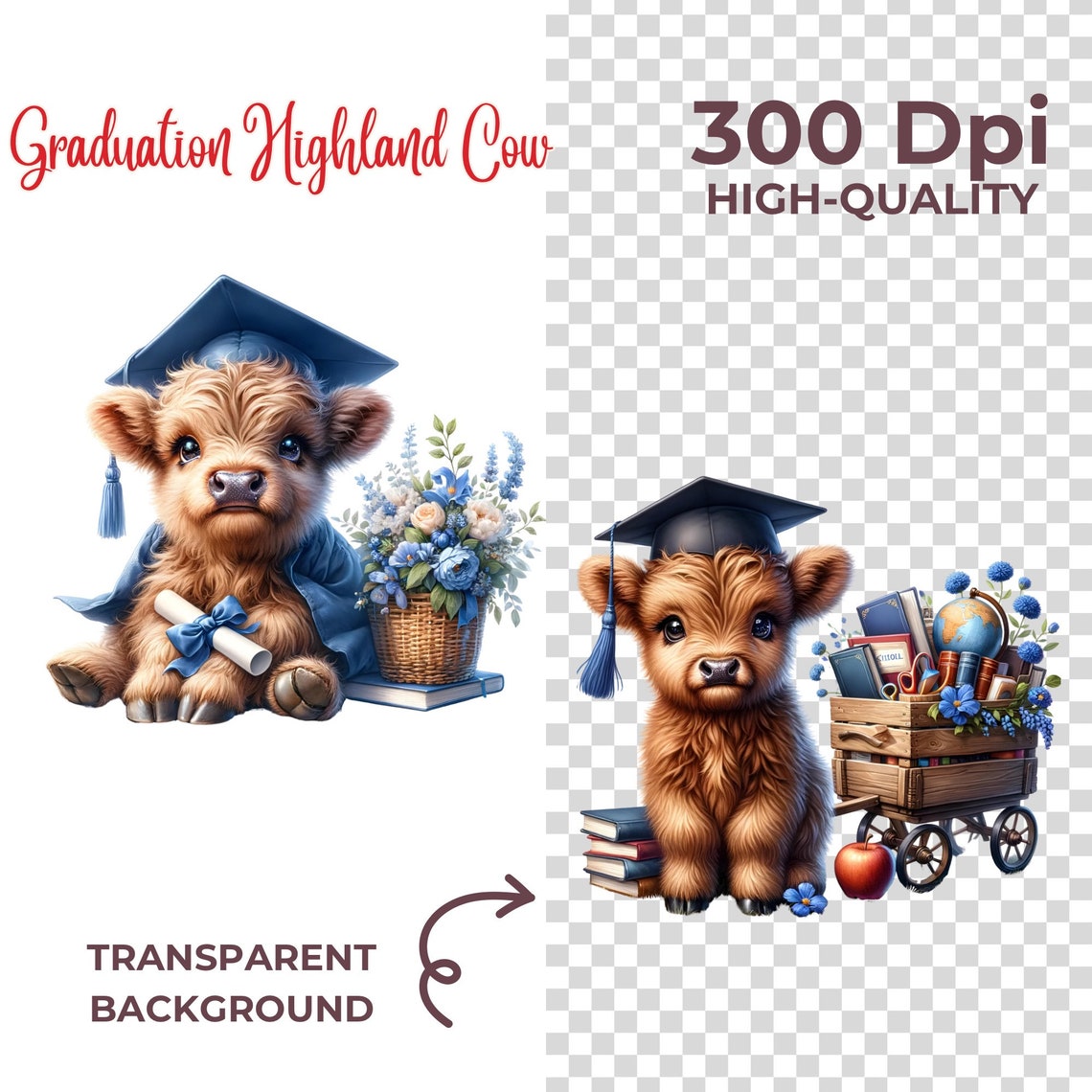 Watercolor Graduation Highland Cow Clipart, Highland Cow PNG, Preschool ...