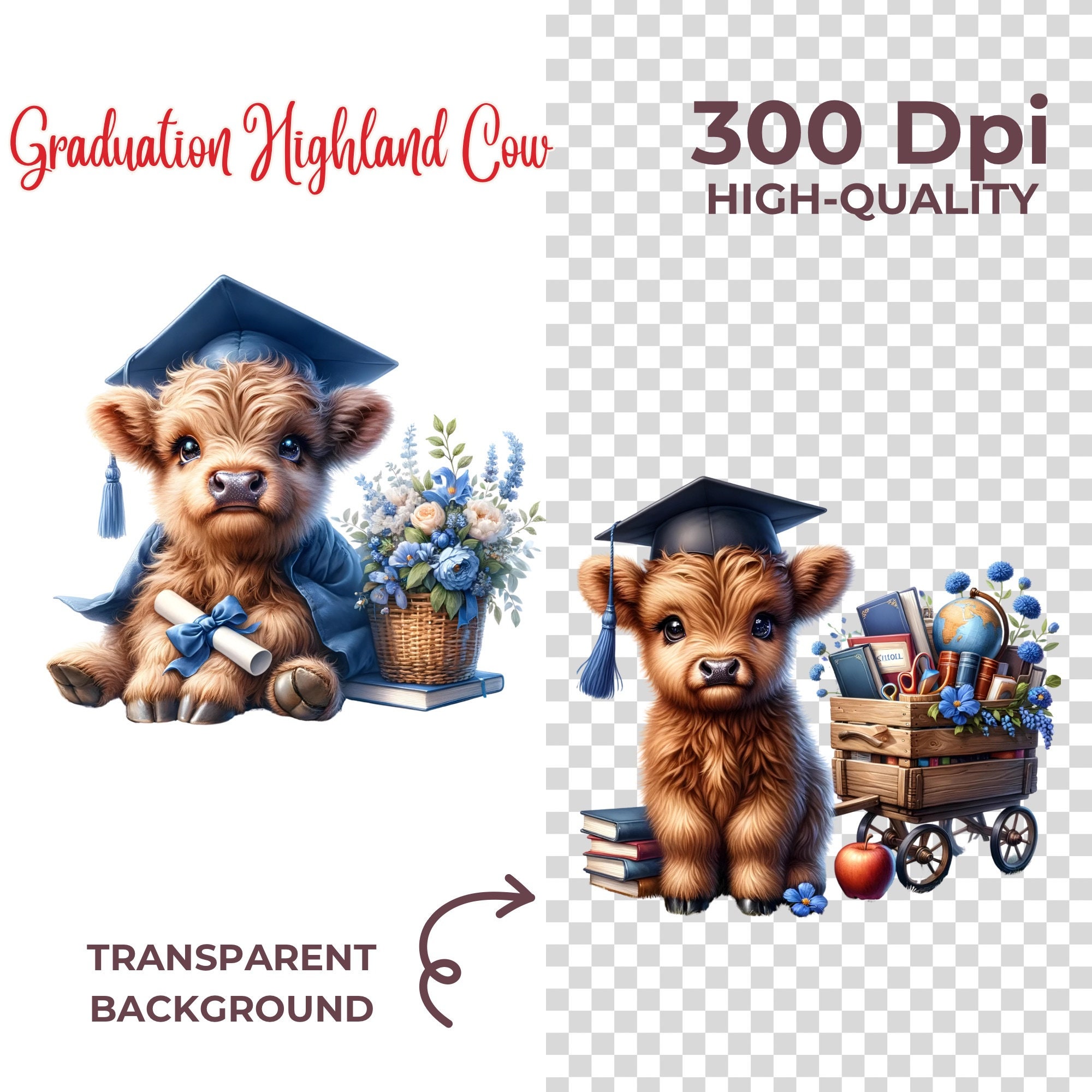 Watercolor Graduation Highland Cow Clipart, Highland Cow PNG, Preschool ...