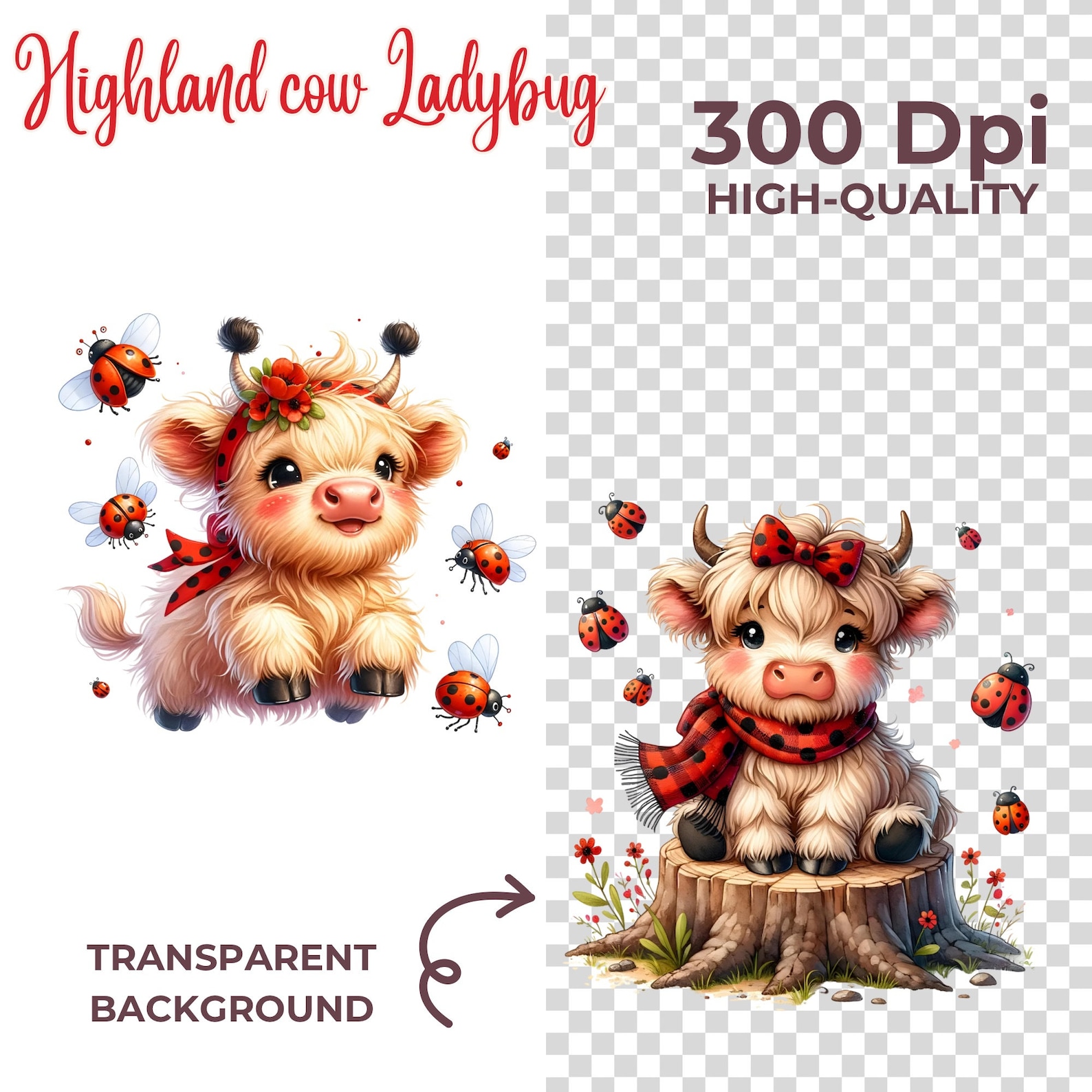 Watercolor Ladybug Highland Cow Clipart, Summer Highland Cow PNG ...