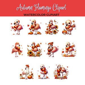 Watercolor Autumn Flamingo Clipart: Thanksgiving PNG Set (commercial ...