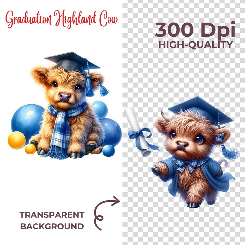 Watercolor Graduation Highland Cow Clipart, Highland Cow PNG, Preschool ...
