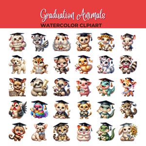 Watercolor Graduation Animals Clipart, Cute Animals PNG, Baby Animals ...