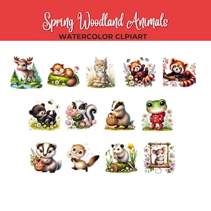 Watercolor Spring Animals Clipart, Cute Woodland Animals PNG, Baby ...